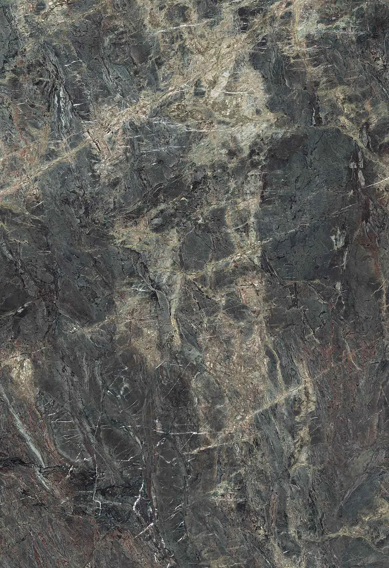 Amazonico - GMC - Surface