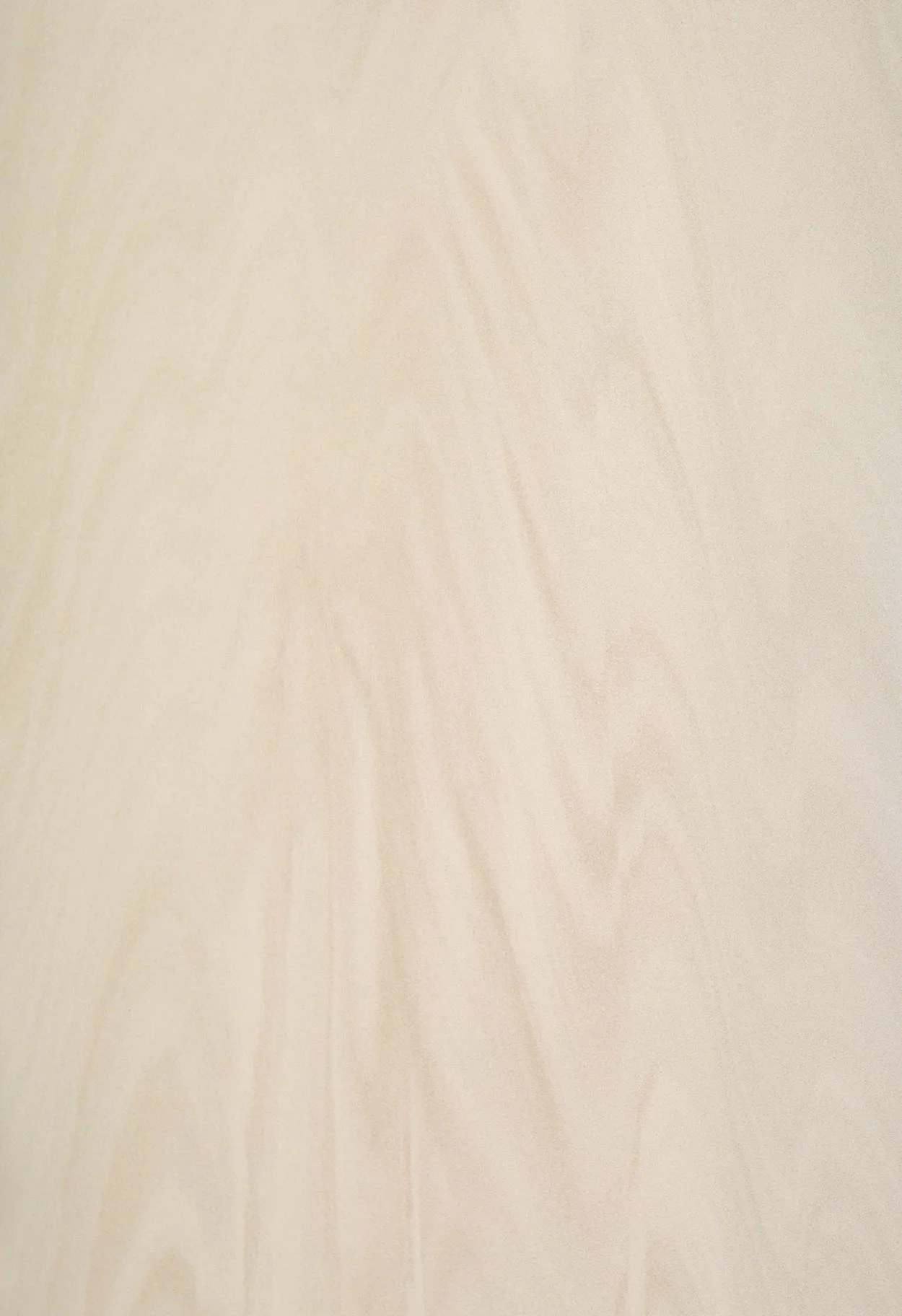 Arena - GMC - Surface